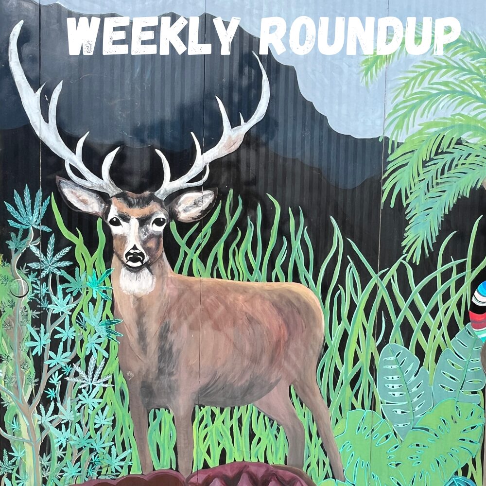 Weekly Roundup & Rundown – Austin Town Hall